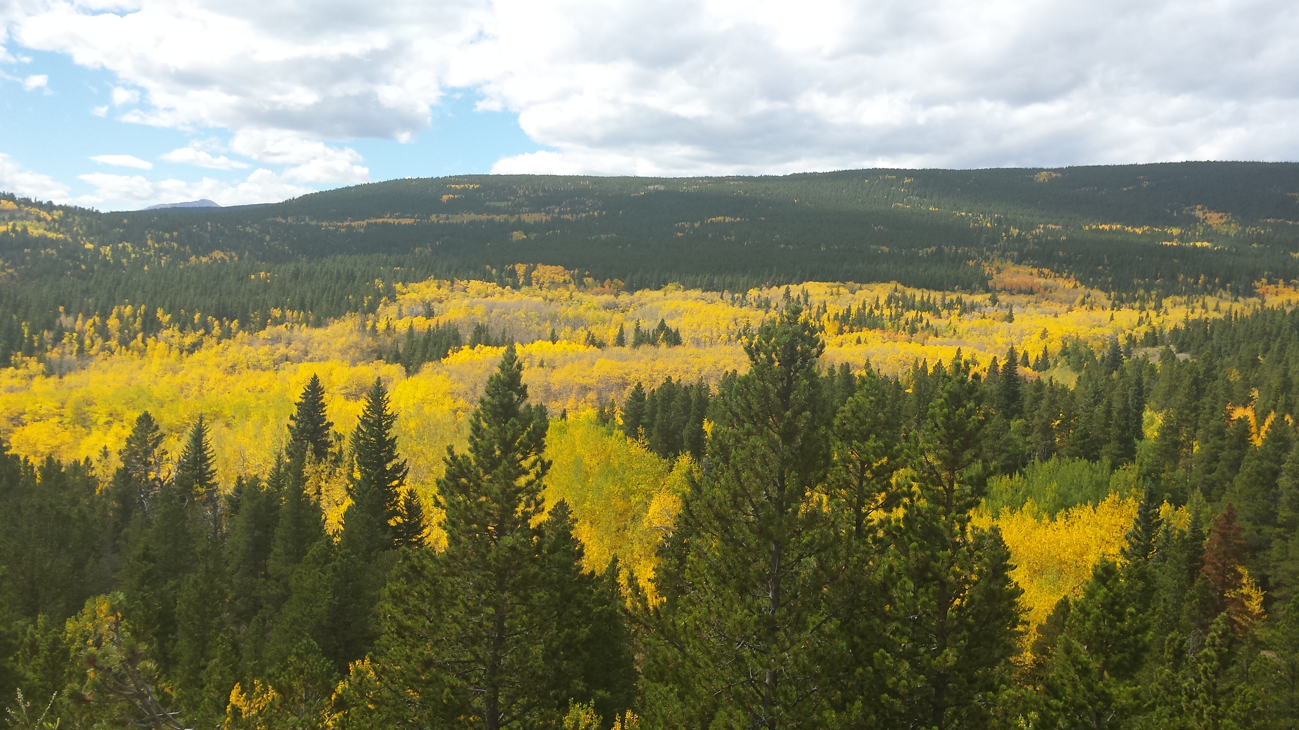 It's starting to feel like fall in Colorado | 9news.com
