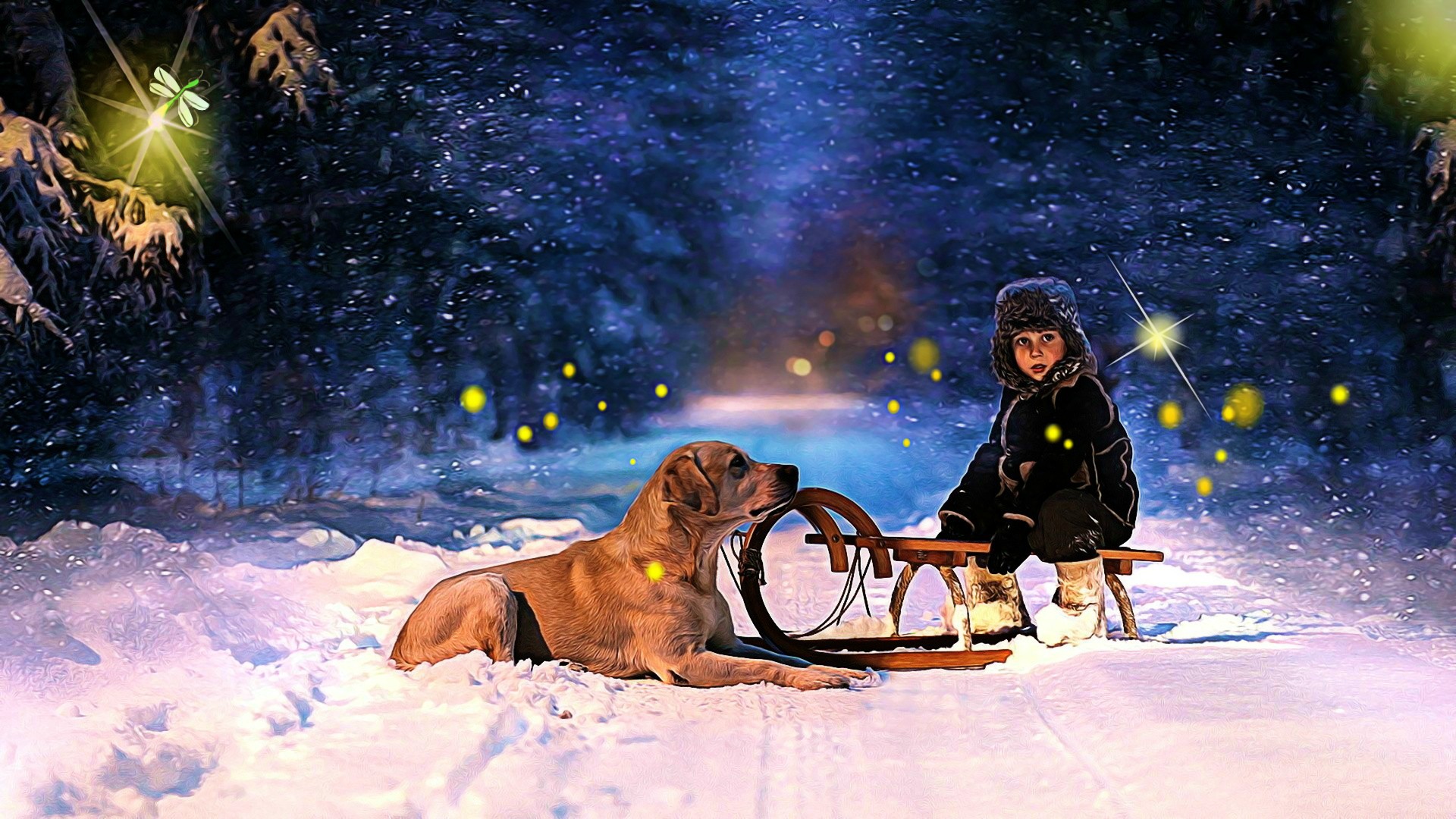 Firefly Autism's Home for the Holiday campaign is underway | 9news.com