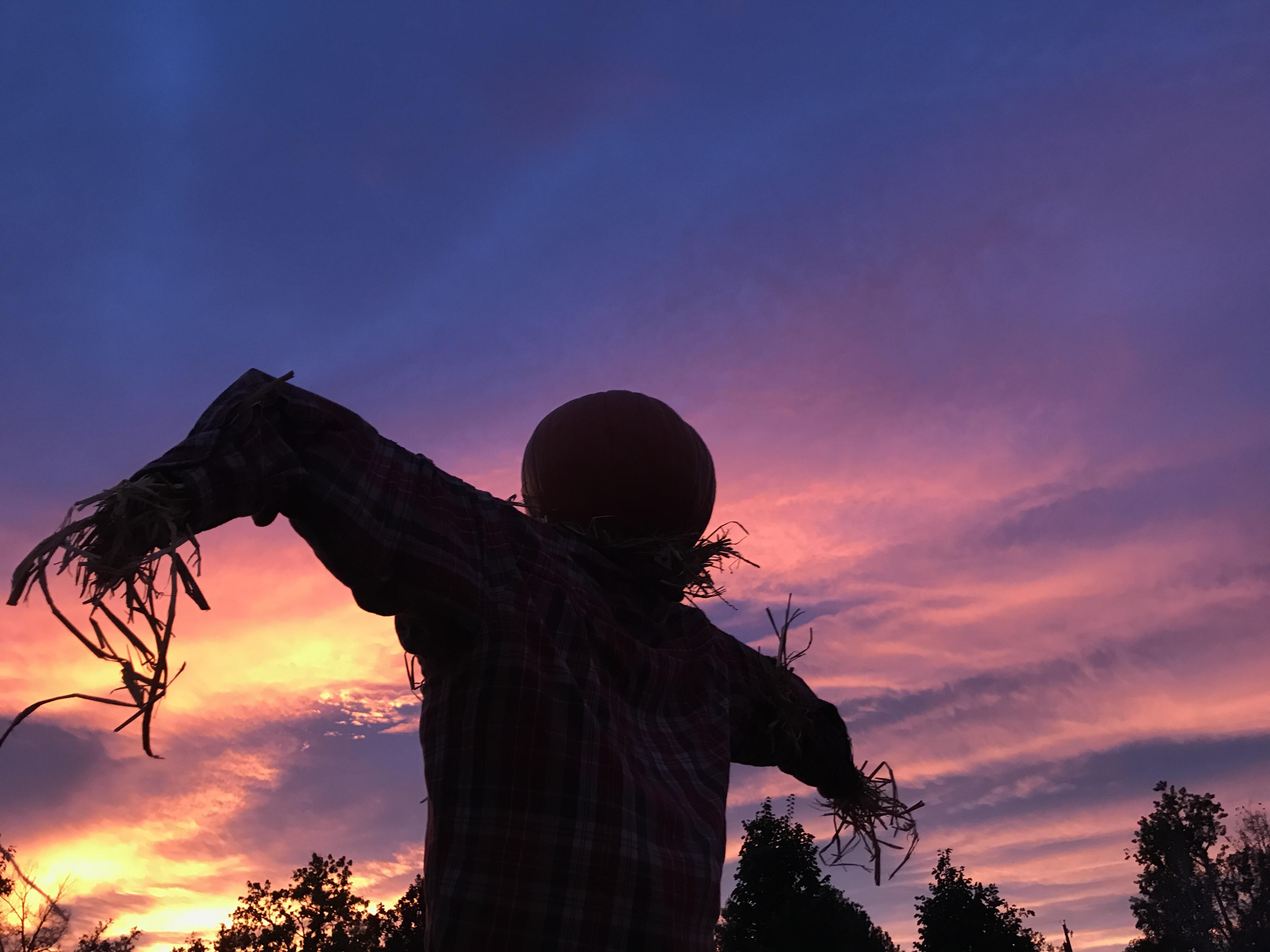 Here's why this morning's sunrise was extra spectacular | 9news.com