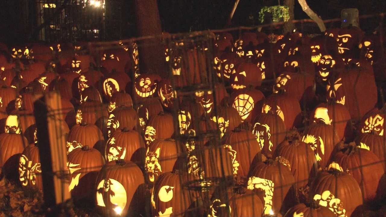 This Highlands Ranch pumpkin patch has a lot of personality | 9news.com