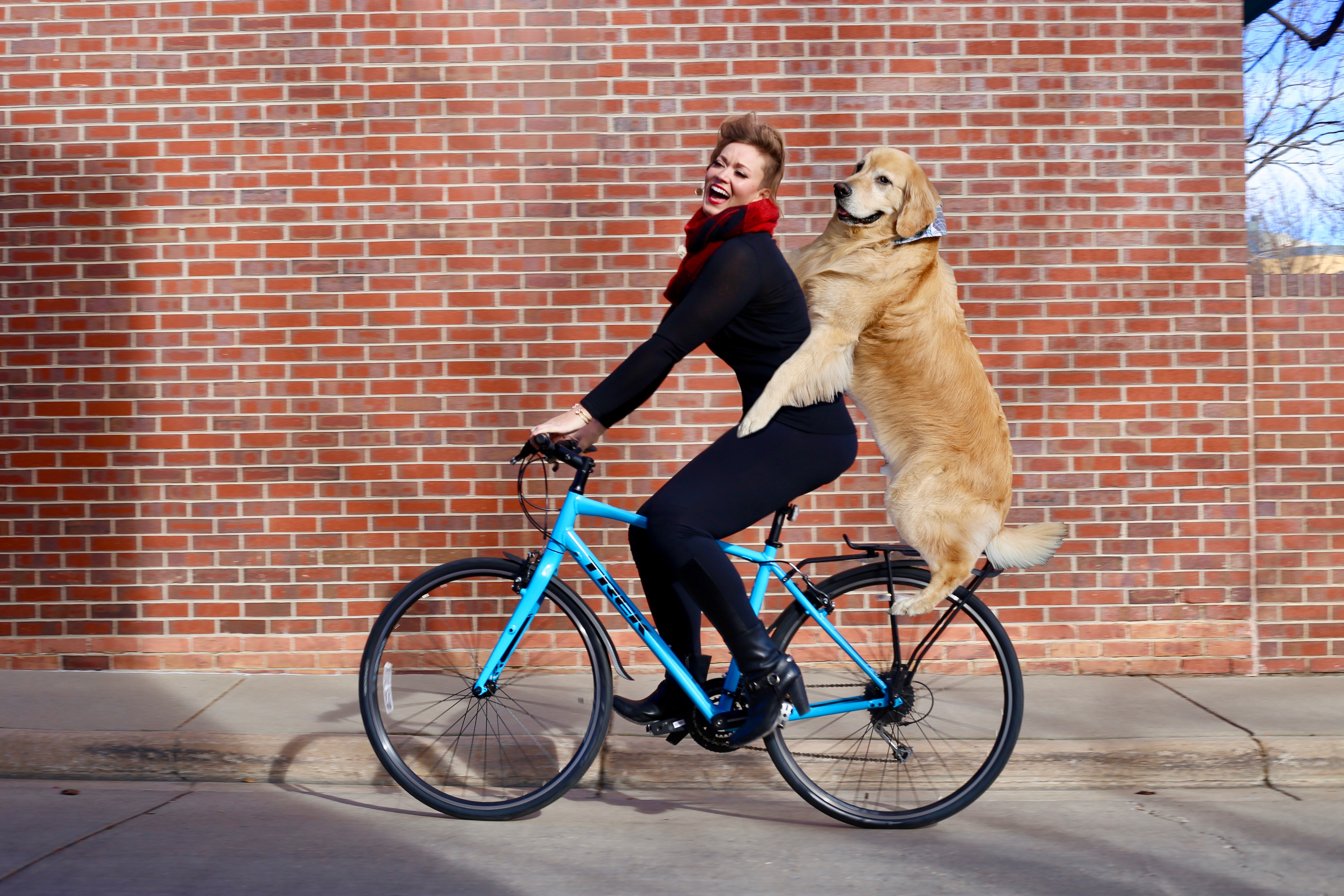 This dog and his human have a better Christmas card than you | 9news.com