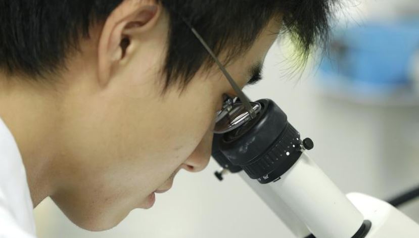 Array BioPharma spins off cardiovascular myopathy drug research into ...
