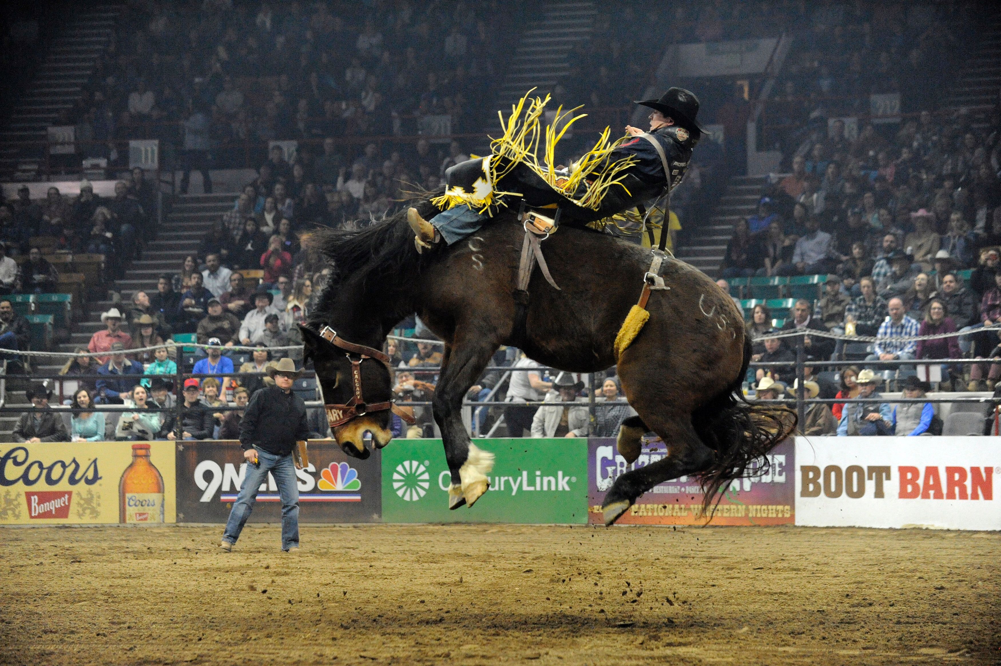 9 things to do in Colorado this weekend: January 5-7 | 9news.com