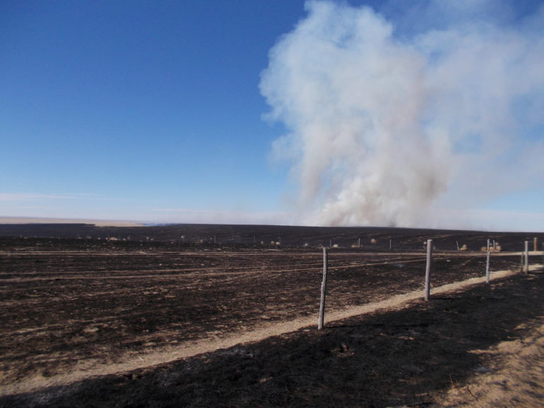 Crews battle 4,300 acre grass fire in Washington County | 9news.com